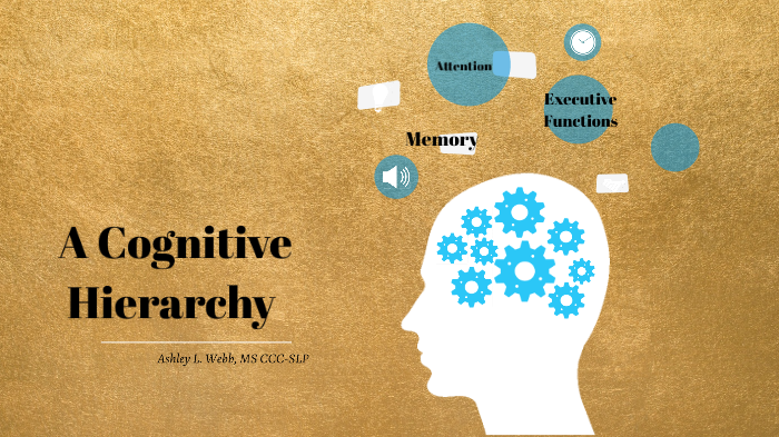Cognitive Hierarchy by Ashley Webb on Prezi