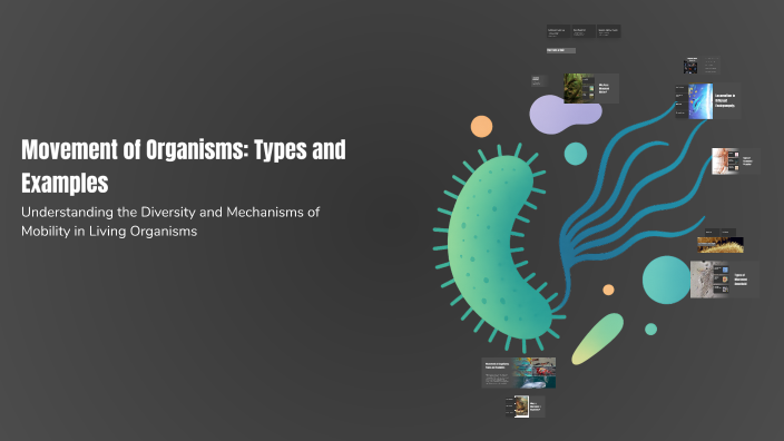Movement of Organisms: Types and Examples by Sreejitha Ashok on Prezi