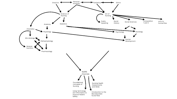 Nursing Concept Map by Michael Goode on Prezi