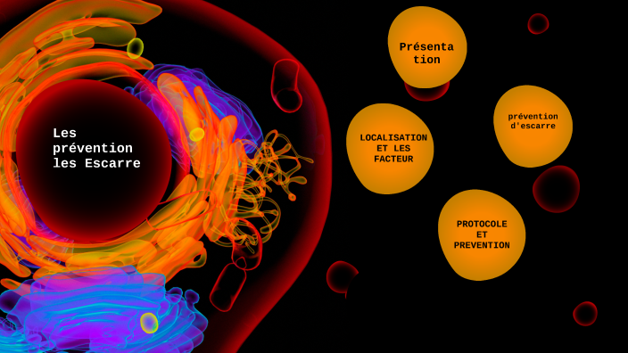 les préventions les Escarre by imane alem on Prezi