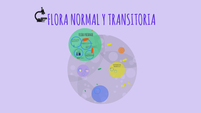 FLORA NORMAL Y TRANSITORIA by paola peña on Prezi