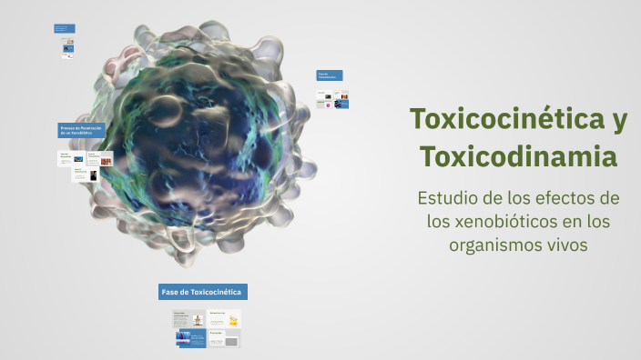 Toxicocinética y Toxicodinamia by Verónica Luna on Prezi
