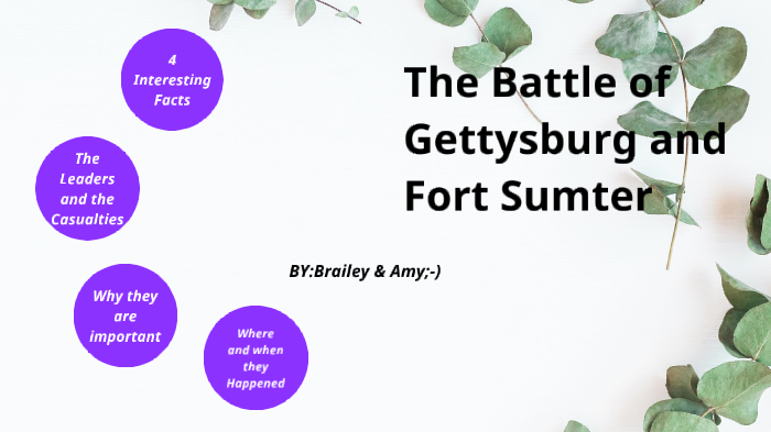 Brailey & Amy - The Battle of Gettysburg and Fort Sumter by Brailey ...