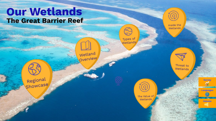 Great Barrier Reef Wetlands by Risa Turner on Prezi
