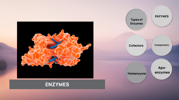 COMPONENTS OF ENZYMES by Erich Niña Ayo on Prezi