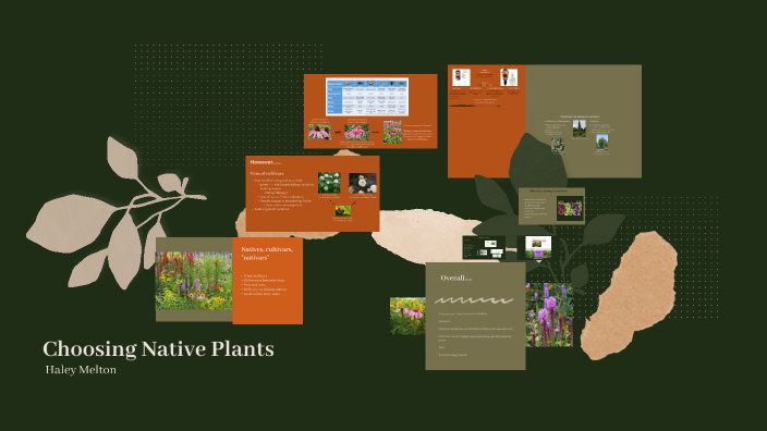 Why Choose Native Plants? by Haley Melton on Prezi
