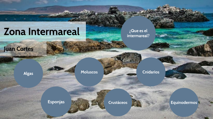 Intermareal by juan cortes on Prezi