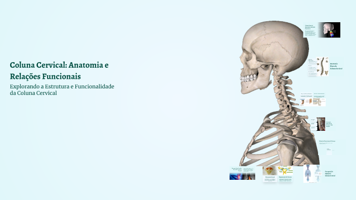 Coluna Cervical: Anatomia e Relações Funcionais by SIDNEY DE ARAUJO on ...