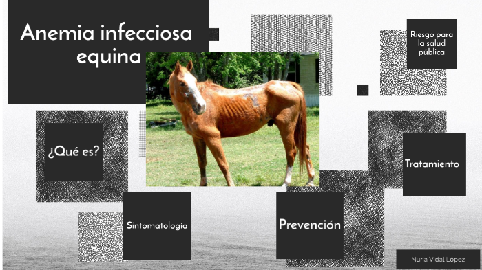 Anemia infecciosa equina by Nuria Vidal on Prezi