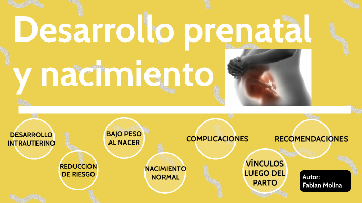 Desarrollo Prenatal Y El Nacimiento By Fabian Vicente On Prezi