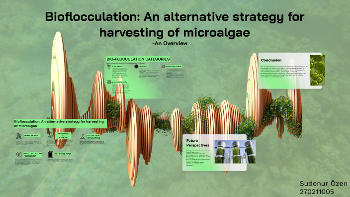 Bioflocculation: Algae Harvesting by Sudenur Özen on Prezi