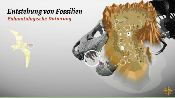 Entstehung von Fossilien by Robin Walther on Prezi