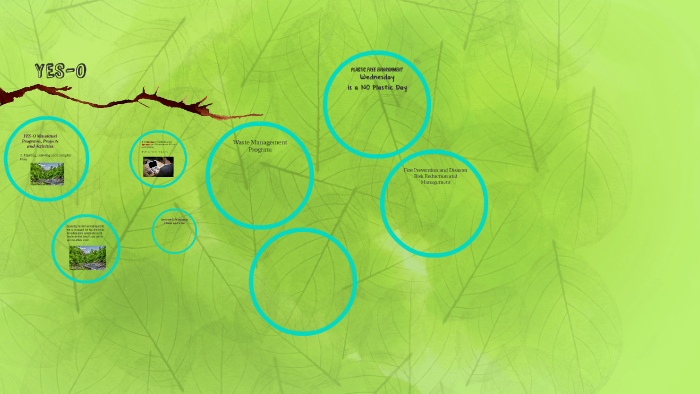 YES-O Mandated Programs, Projects and Activities by Enitsirhc on Prezi