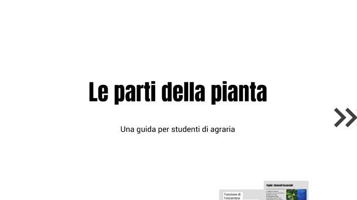 Le parti della pianta by Angela Persico on Prezi