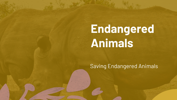 Saving Endangered Animals by mia ney on Prezi
