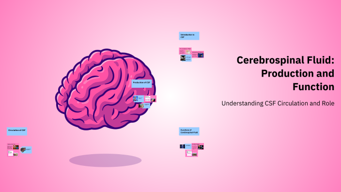 Cerebrospinal Fluid: Production and Function by Olivia Soto on Prezi
