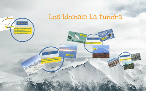 Los Biomas: La tundra by Fatima Campana on Prezi