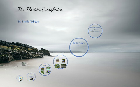 Florida Everglades powerpoint by Emily Wilson on Prezi