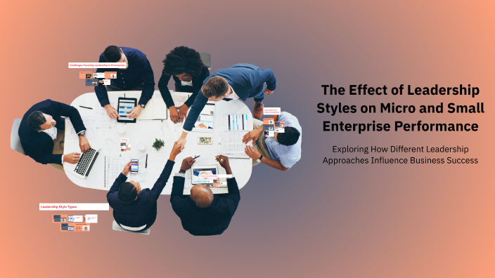 The Effect of Leadership Styles on Micro and Small Enterprise ...