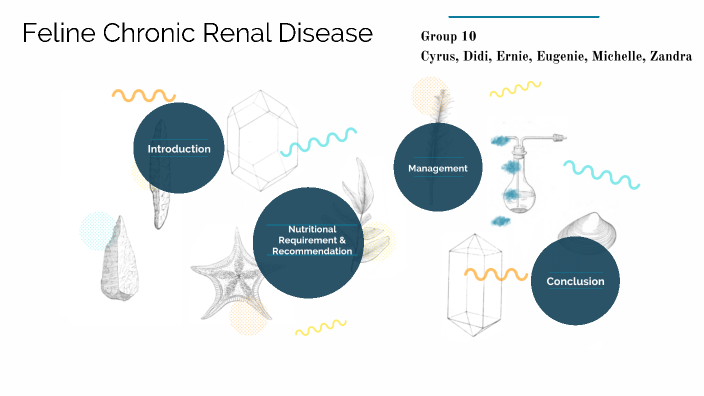Feline Chronic Renal Disease by Cyrus Cheung on Prezi