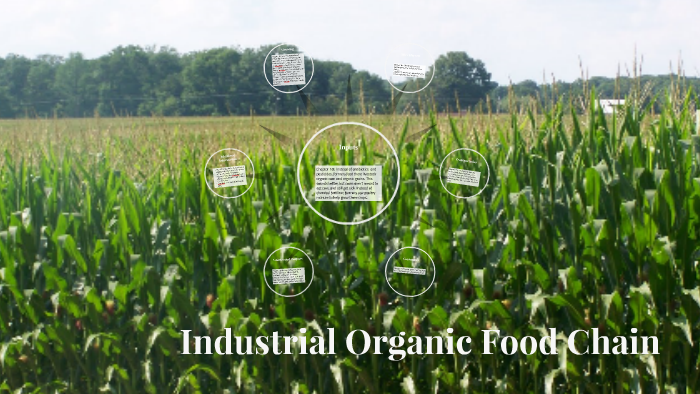 Industrial Organic Food Chain by Cameron Norton on Prezi