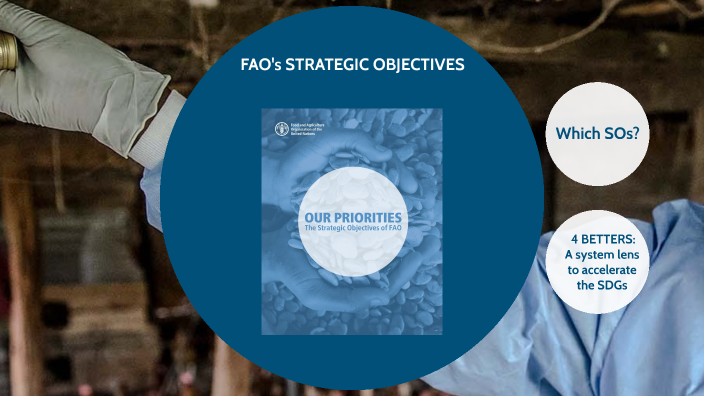 Communicating and articulating ECTAD results to FAO SOs and SDGs by Yan ...