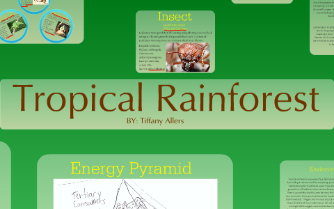 Tropical Rainforest by Tiffany A on Prezi
