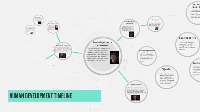 Human Development Timeline by Kassandra Hill on Prezi