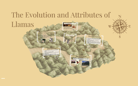 The Evolution and Attributes of Llamas by k8 jones on Prezi