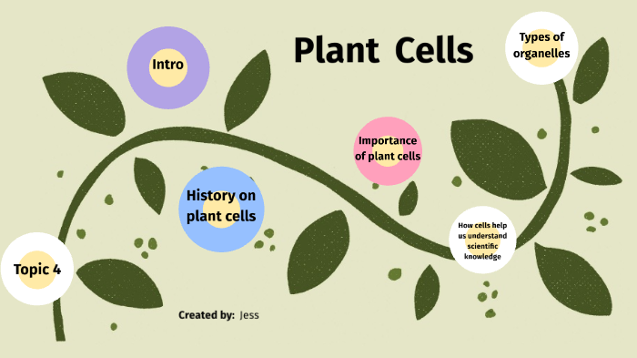 Plant Cell by Jess Johnston on Prezi