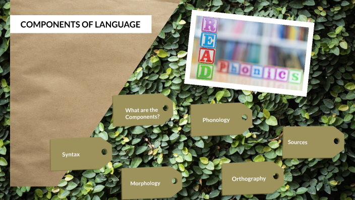 Components of Language by Taryn Greenlee on Prezi