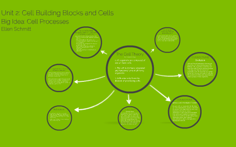 Unit 2: Cell Building Blocks and Cells by Ellen Schmitt on Prezi