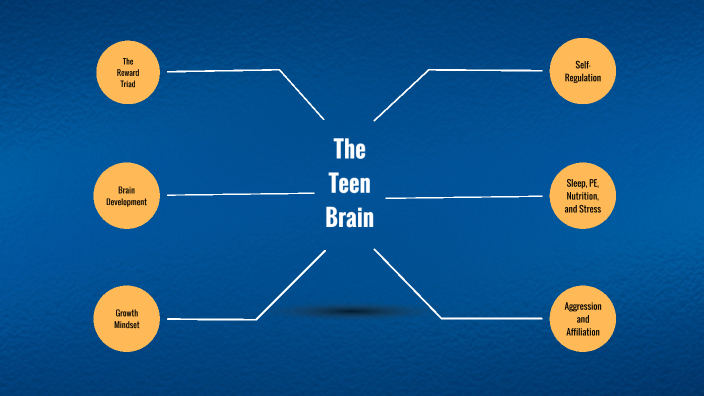 Jacob Harrenstein Mind Map by Jacob Harrenstein on Prezi