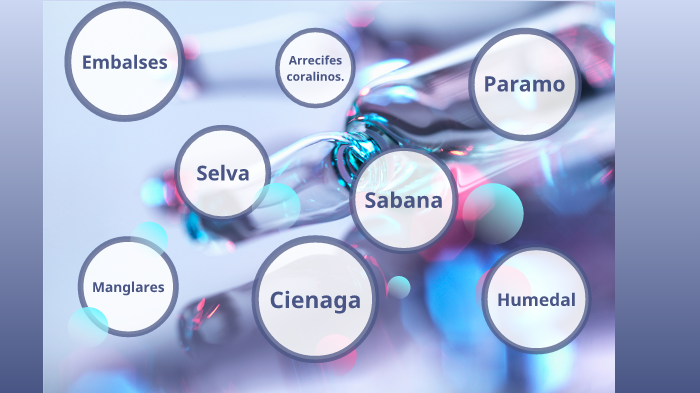 BIOMAS by Aleja Vasquez Rodriguez on Prezi