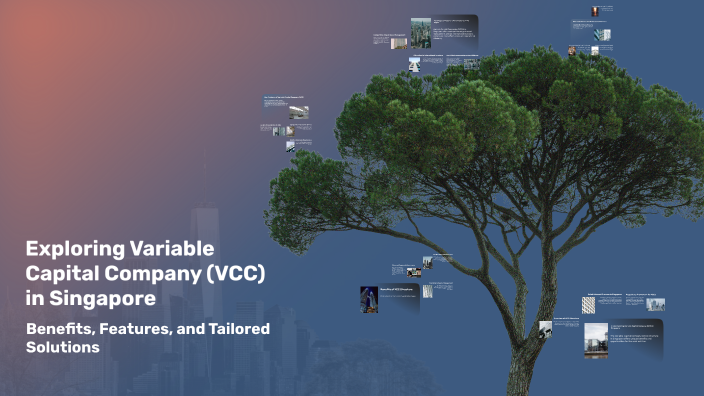 Exploring Variable Capital Company (VCC) in Singapore by Mel Ghadban on ...