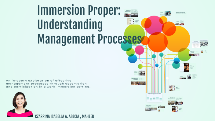 Immersion Proper: Understanding Management Processes by Abesha Dzarina ...