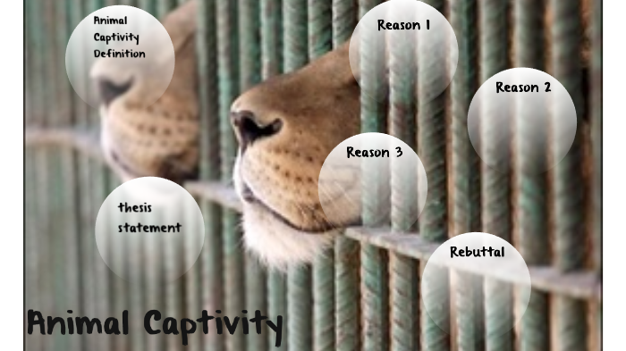 Animal Captivity by Alexis Robinson on Prezi