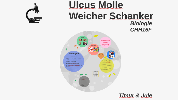 Ulcus Molle by Kai Marcen on Prezi