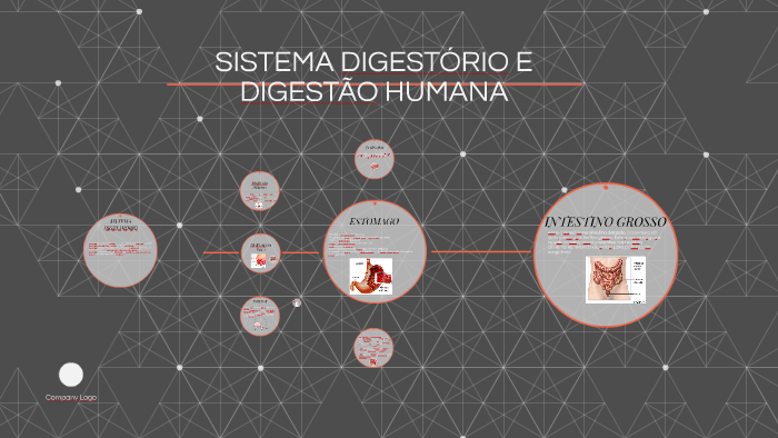 SISTEMA DIGESTORIO E DIGESTAO HUMANA by MATHEUS ALVES on Prezi
