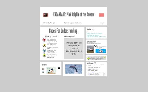 ENCANTADO: Pink Dolphin of the Amazon by Katie Mozick on Prezi