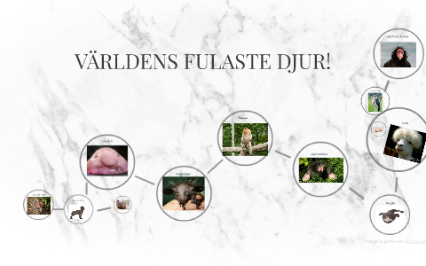 Världens fulaste djur! by tess ekström on Prezi