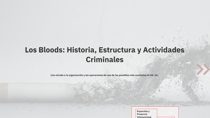 Los Bloods: Historia, Estructura y Actividades Criminales by david ...