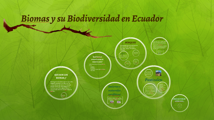 Biomas y su Biodiversidad en Ecuador by Salito Luna on Prezi