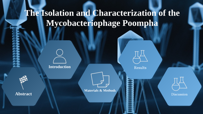 Sea Phage presentation by Caroline Lindsey on Prezi
