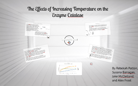 The Effects of Temperature on the Enzyme "Catalase" by JAKE MCCLELLAND ...