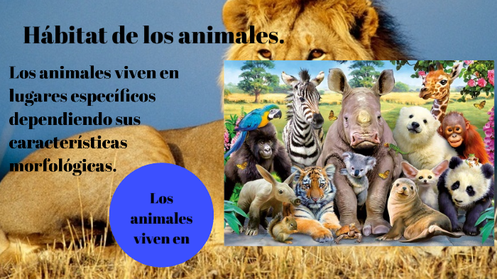 Hábitat de los animales. by Quete Importa on Prezi