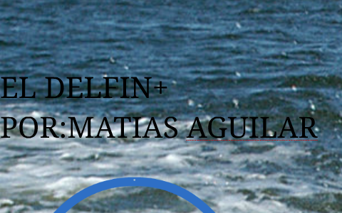 EL DELFIN+ por Matías Aguilar by 5c Altair on Prezi
