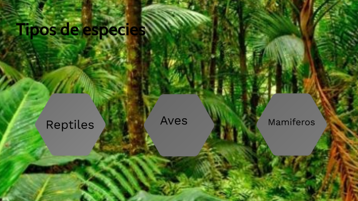 Tipos de especies by sarito on Prezi