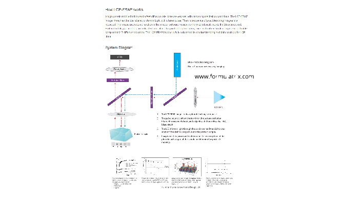 FRAP assay by Michael Hanson on Prezi