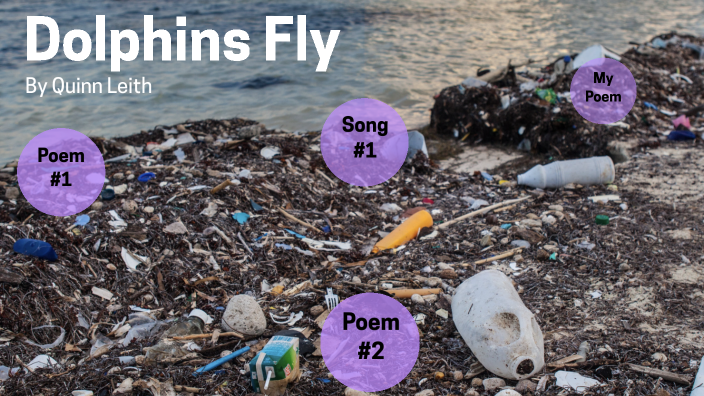 Dolphins fly by Quinn Leith on Prezi